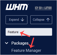 How to Enable/Disable Features of cPanel Account From WHM - Knowledgebase - Icy Evolution